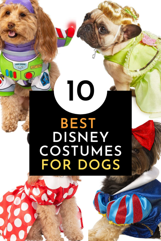 10 Best Disney Dog Costumes With 5 Star Reviews.