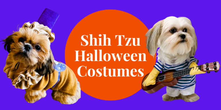 17 Cutest Shih Tzu Halloween Costumes with GREAT Reviews.