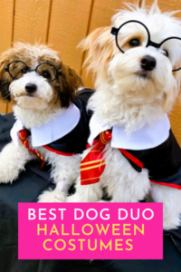 23 Best Dog Duo Costumes Perfect for Halloween!