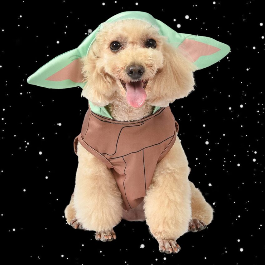 19 Best Star Wars Dog Costumes for Halloween.