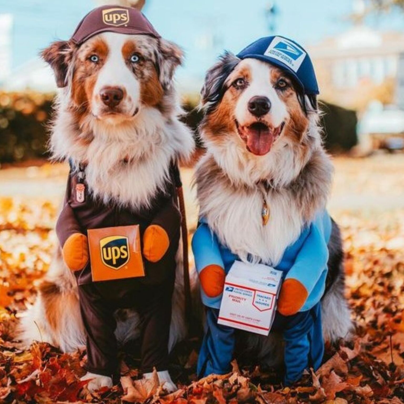 23 Best Dog Duo Costumes Perfect for Halloween!