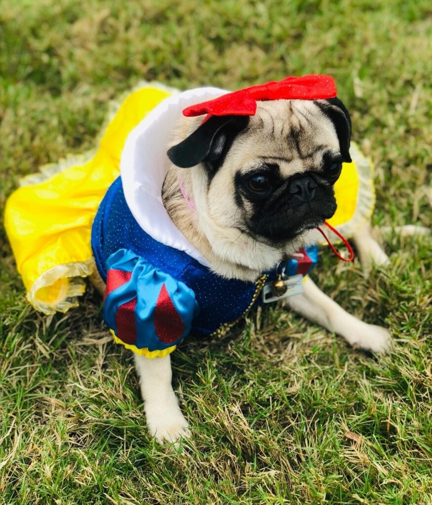 25 Best Disney Dog Costumes. Find Dog + Owner Costumes Too!