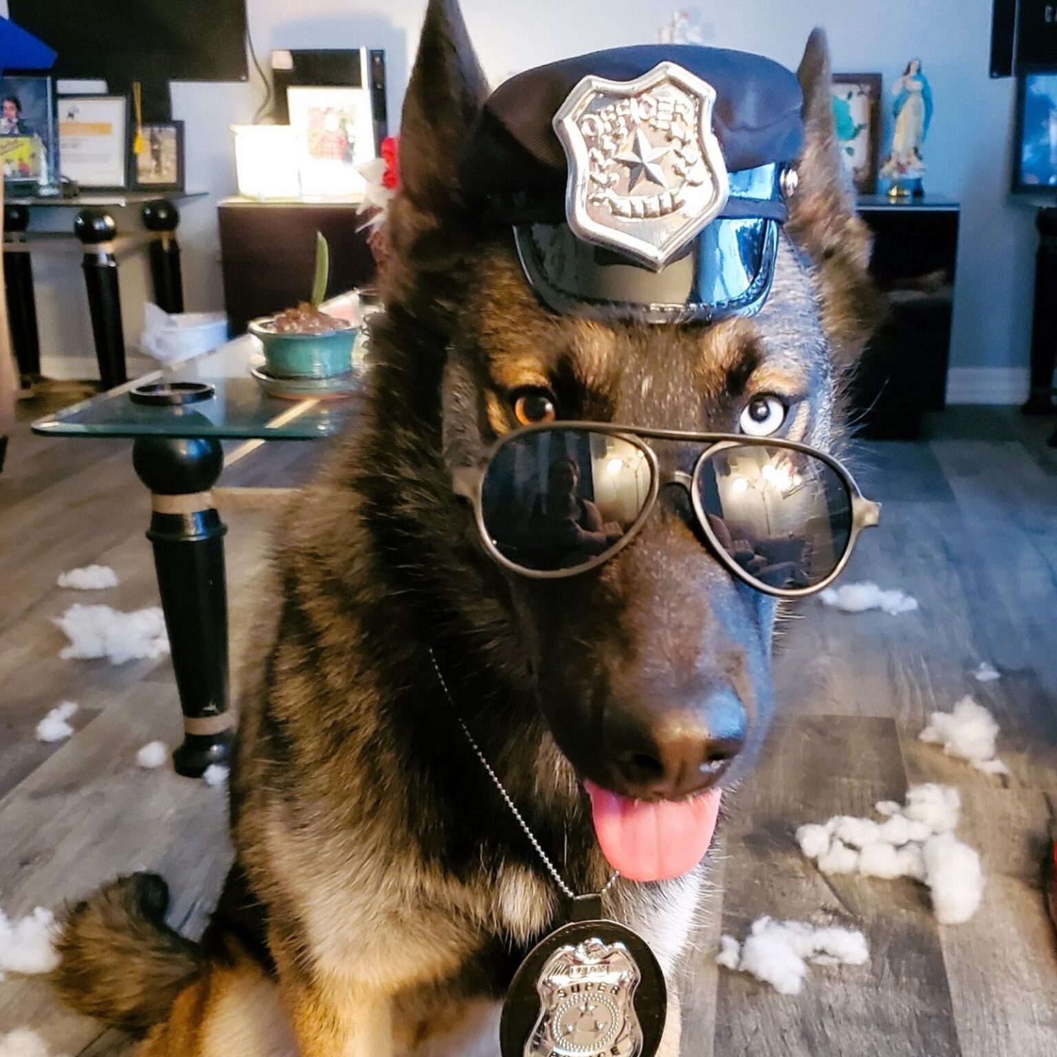 23 Best Dog Duo Costumes Perfect for Halloween!
