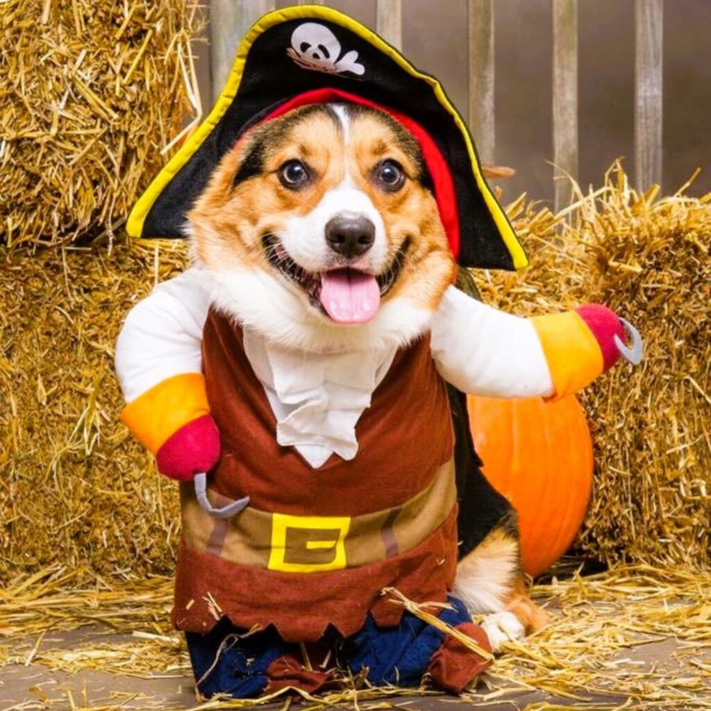 23 Best Dog Duo Costumes Perfect for Halloween!