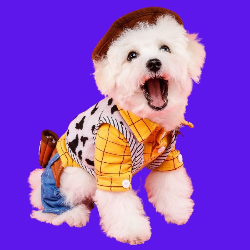23 Best Dog Duo Costumes Perfect for Halloween!