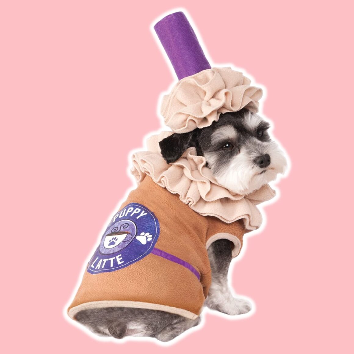 Best German Shepherd Halloween Costumes That Fit!
