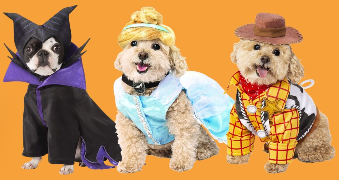 25 Best Disney Dog Costumes. Find Dog + Owner Costumes Too!