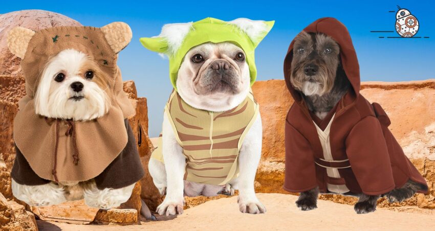19 Best Star Wars Dog Costumes for Halloween.