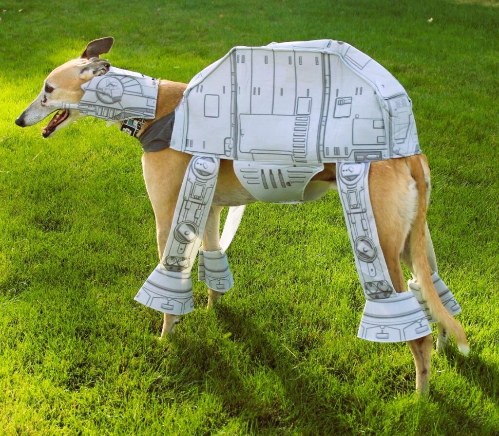 19 Best Star Wars Dog Costumes for Halloween.
