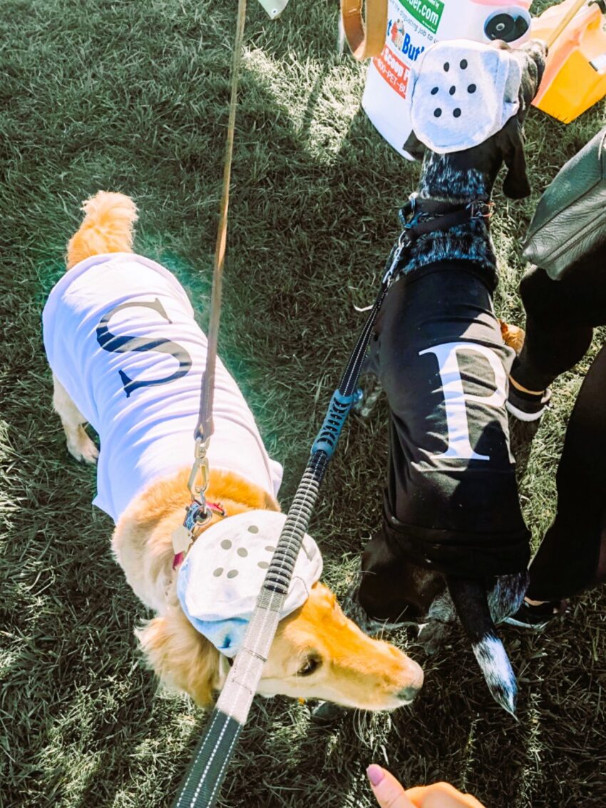 23 Best Dog Duo Costumes Perfect for Halloween!
