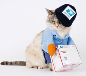 29 Cat Halloween Costumes That Are Funny Too!
