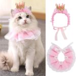 29 Cat Halloween Costumes That Are Funny Too!