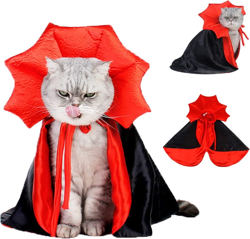 29 Cat Halloween Costumes That Are Funny Too!