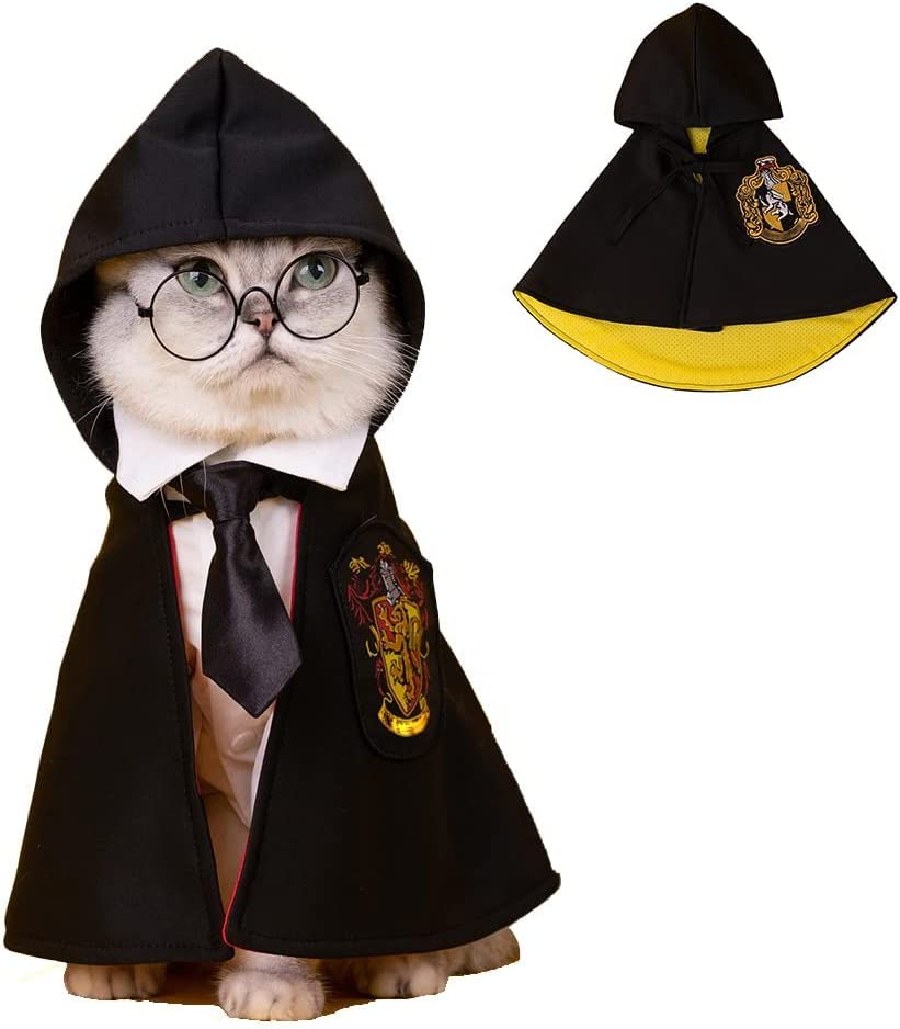 25 Best Cat and Owner Costumes for Halloween.